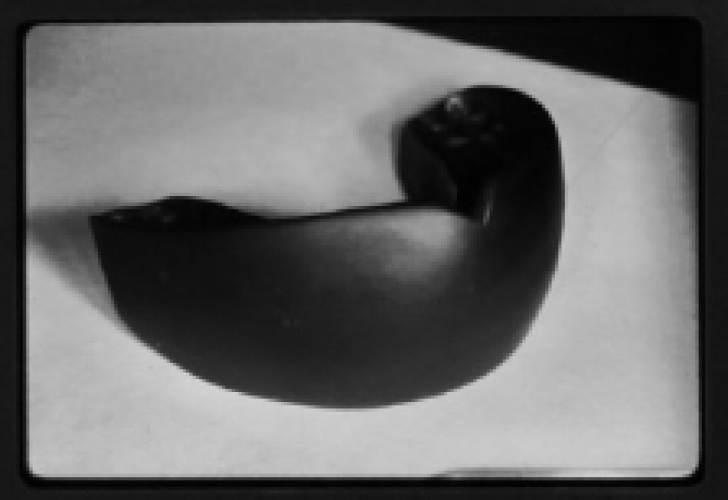 The Contour Appliance Revisited: Evolution, Advancements, and ...