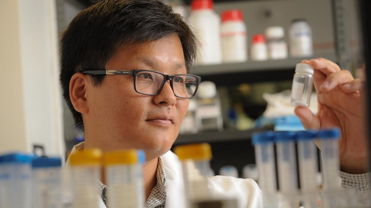 Chang Lee Seeks Novel Solutions for TMJ Disorder | College of Dental ...