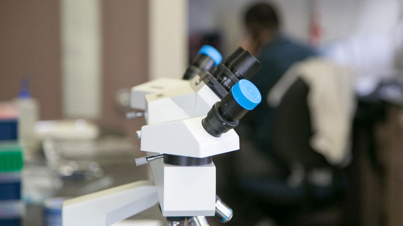 Research Resources | College of Dental Medicine